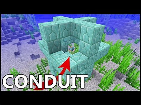 Image result for Minecraft Conduit Activation Frame