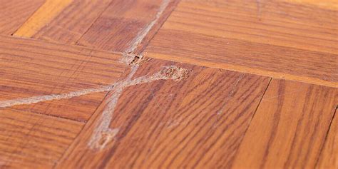 Image result for How to Fix Gouges in Hardwood Floor