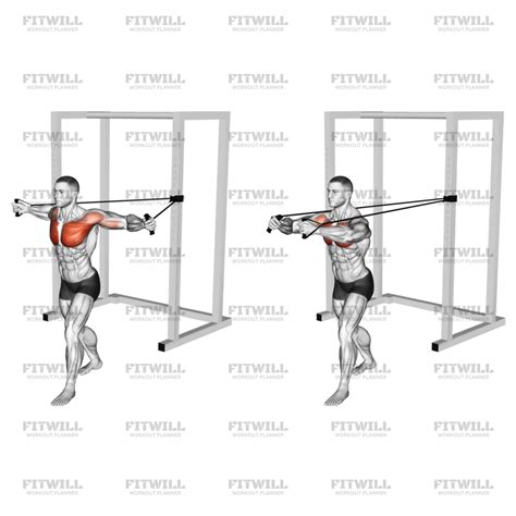 Image result for Banded Chest Fly Exercise