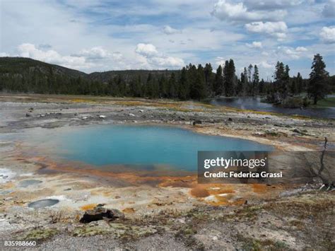 Image result for Geyser Pool