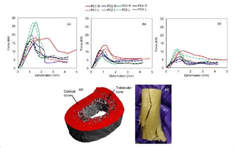 Image result for Force Compression Graph