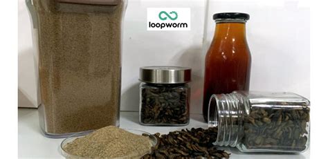 Image result for Insect Based Protein