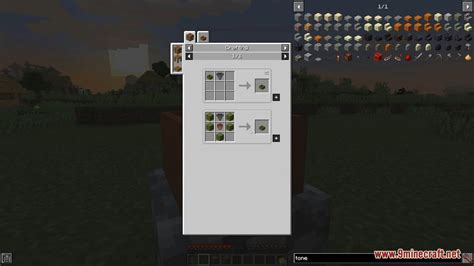 Image result for Minecraft Botany