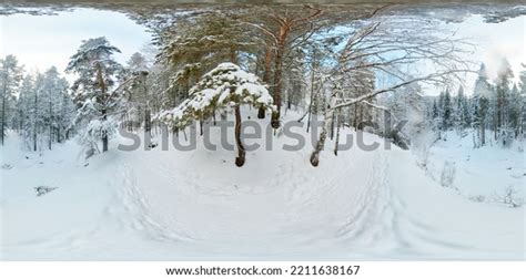 Image result for Equirectangular Test Image