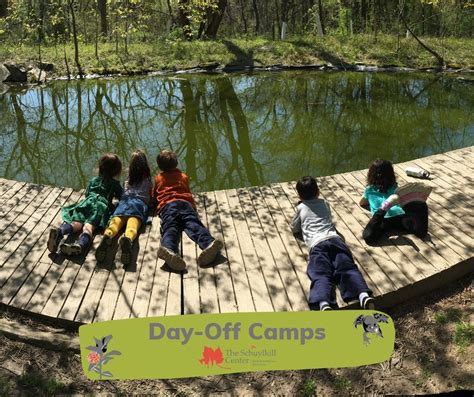 Image result for Ce Spring Break