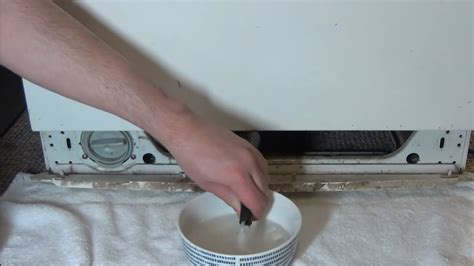 Image result for How to Clean Bosch Washing Machine Filter