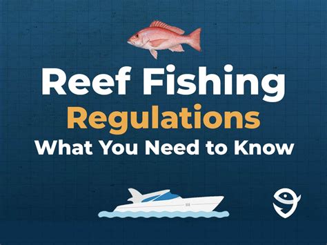 Image result for Reef Fishing Tips