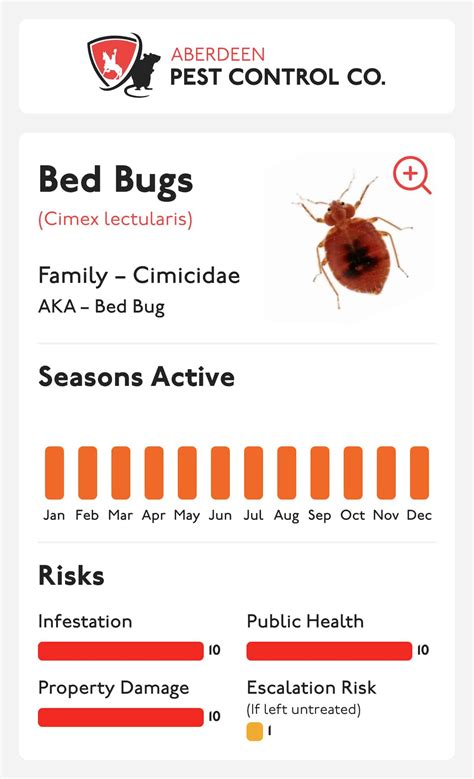 Image result for ASP Insect