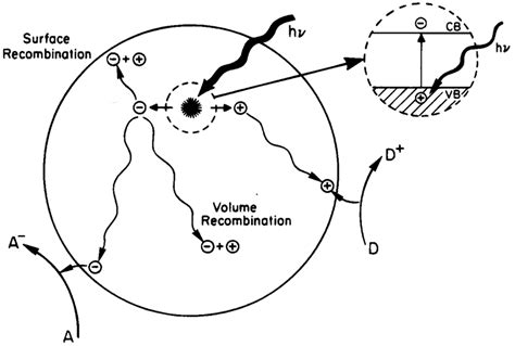 Image result for TiO2 Photocatalytic