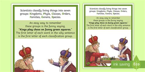 Image result for Classification Example Poster