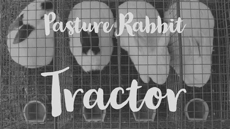 Image result for Rabbit Tractor Design