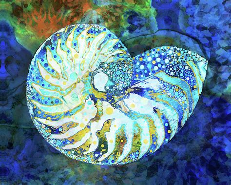 Image result for Nautilus Shell Art