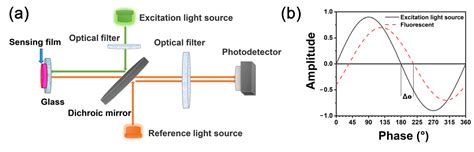 Image result for How Does a Linear Oxygen Sensor Work