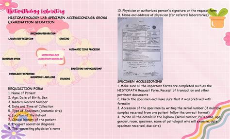 Image result for Laboratory Paper Box Histopath