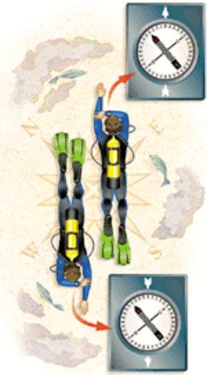 Image result for Using Compass Underwater