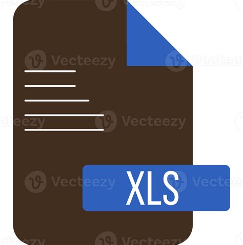 Image result for XLS Extension