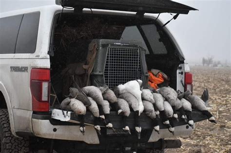 Image result for Goose Hunts