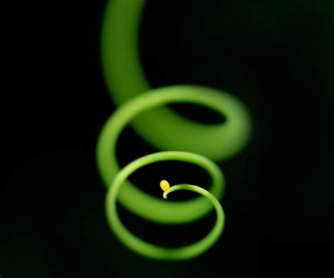 Image result for Backgrounds That Move