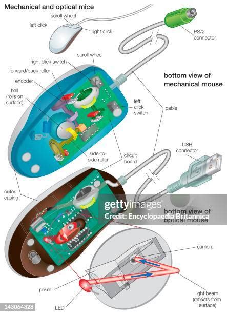 Image result for Computer Mouse Diagram