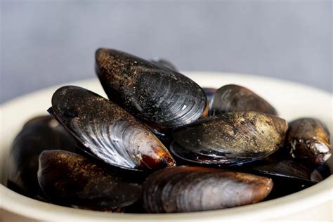 Image result for Shellfish Food