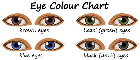 Image result for Eye Color Examples