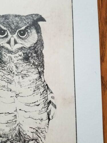 Image result for Graphite Drawing of Owl