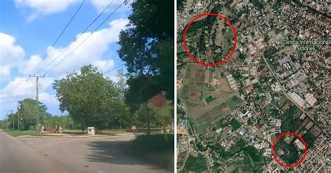 Image result for Alien De Punto Cero