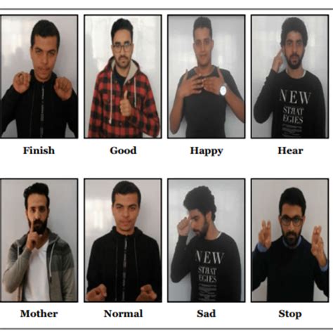 Image result for Arabic Sign Language