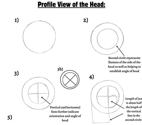 Image result for Head View Drawing Tutorial