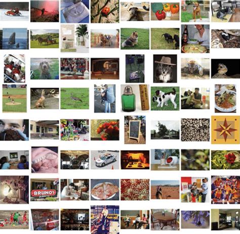 Image result for ImageNet Dataset