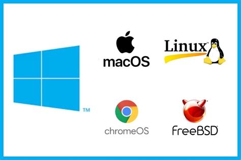 Image result for Example of Microsoft Windows Operating System