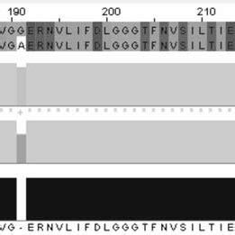 Image result for Graphical Representation of the Sequence Alignment