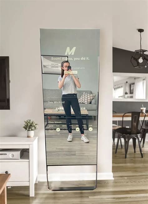 Image result for Mirror Workout Model