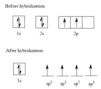 Sp Hybridization Carbon