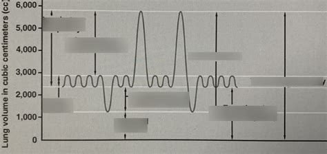 Image result for How to Read Spirogramm