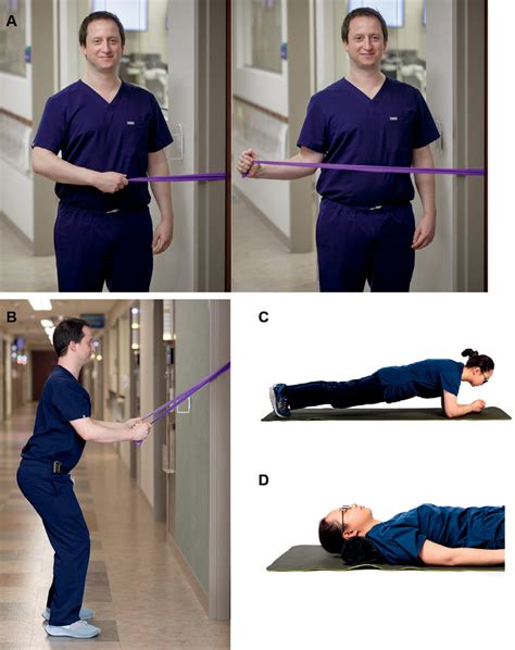 Image result for Dynamic Shoulder Stabilization Exercises