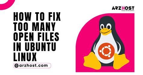 Image result for Ubuntu Could Not Open This File Type