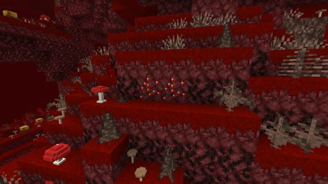 Image result for Making the Nether Actually Difficult Mod