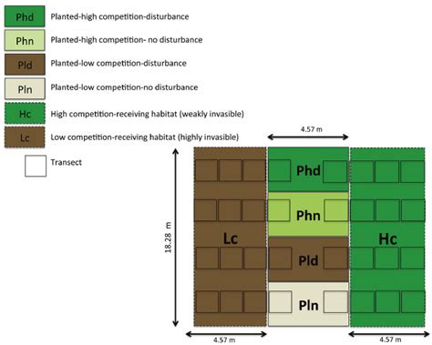 Image result for Split Replicate Concurrent Replicate Sequential Replicate