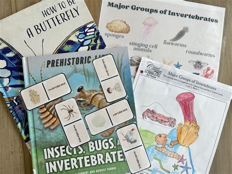 Image result for Classical Conversations Cycle 2 Printable Worksheets