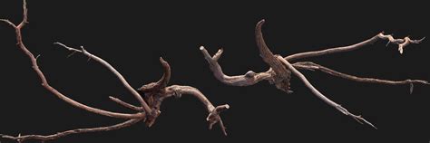 Image result for Quixel Scanner