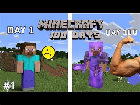 Image result for Minecraft 100 Days Speedrun