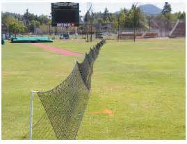 Image result for Discus Sector