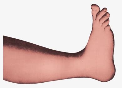 Image result for Python Foot