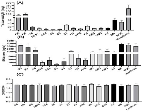 Image result for Mice Brain Dissection