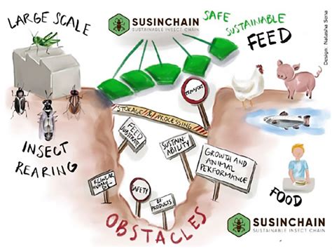 Image result for Insect Production