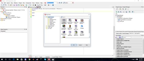 Image result for Delphi RAD Studio