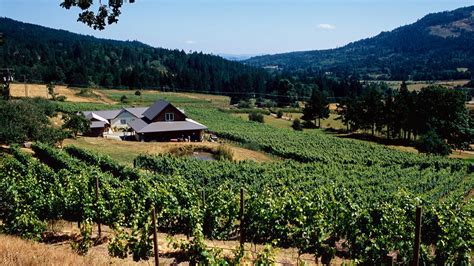 Image result for Fever Tree Salt Spring Island