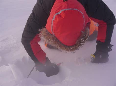 Image result for Snow Sampling