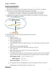 Image result for Genesis Chapter 17 Worksheet
